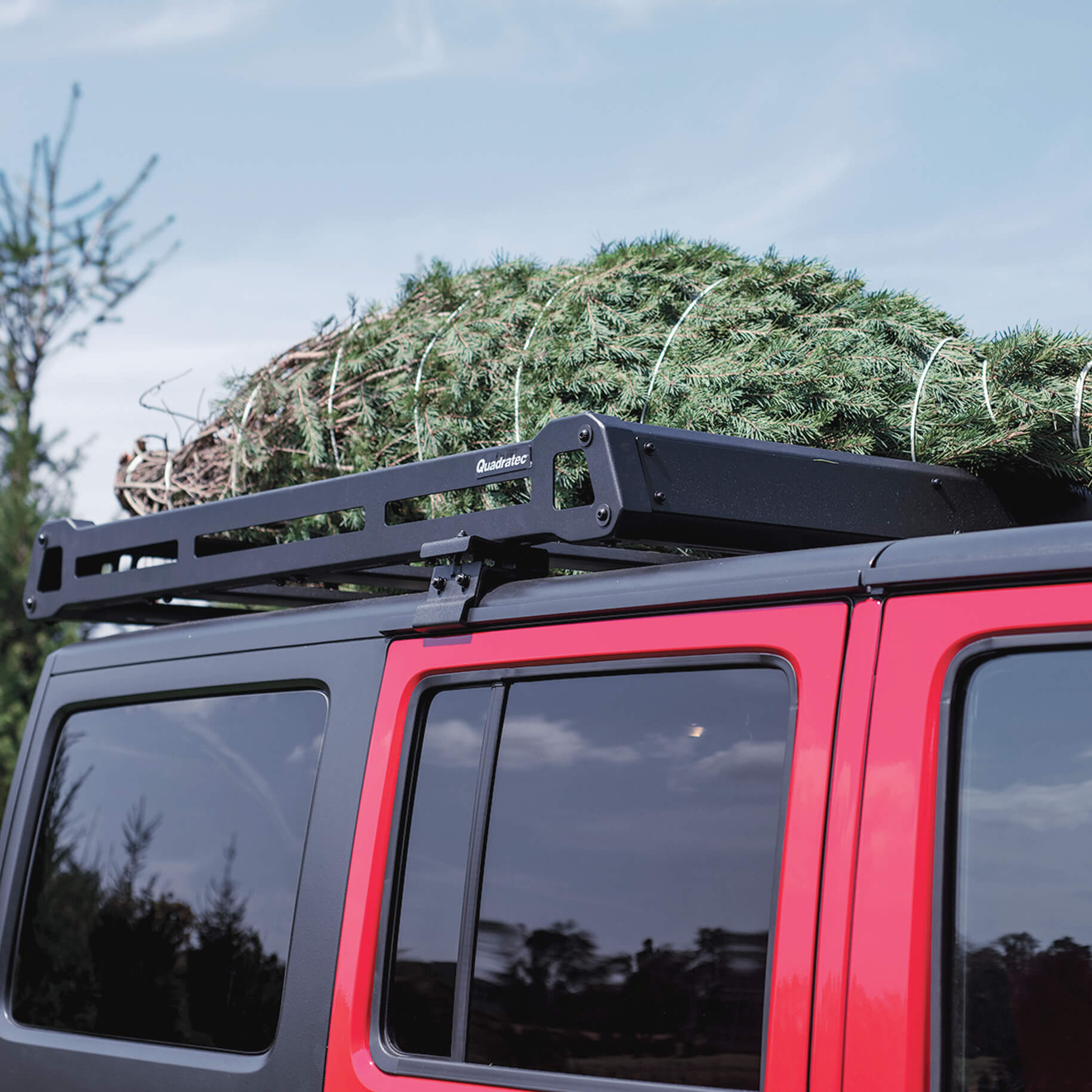 At The Tree Farm | Quadratec