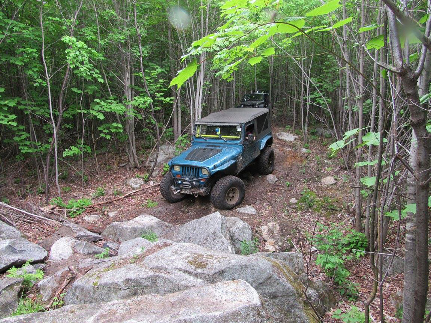 Purpose Built: Corey Ferguson '93 YJ | Quadratec