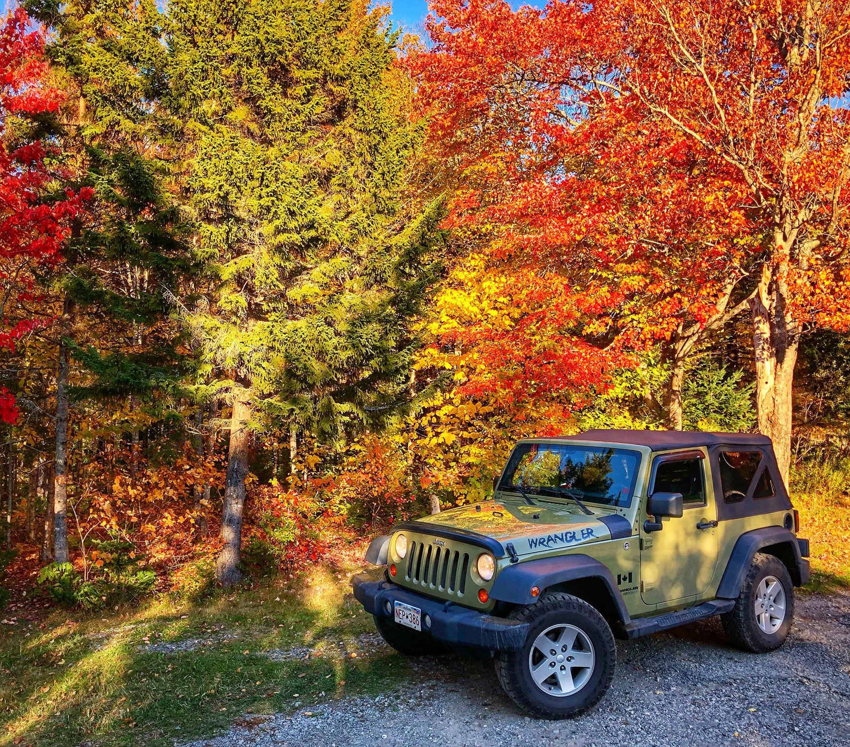 Best Fall Products For Your Jeep | Quadratec