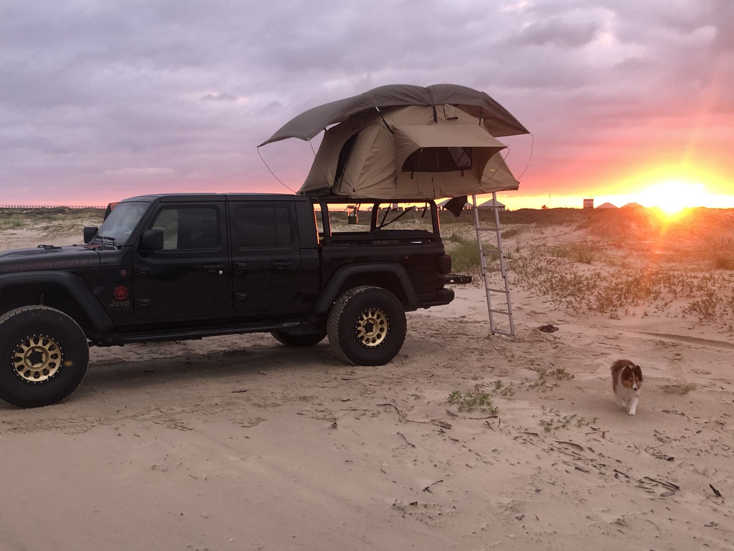 Putco 184500 Venture TEC Rack Modular Cargo System with 5ft -Standard ...