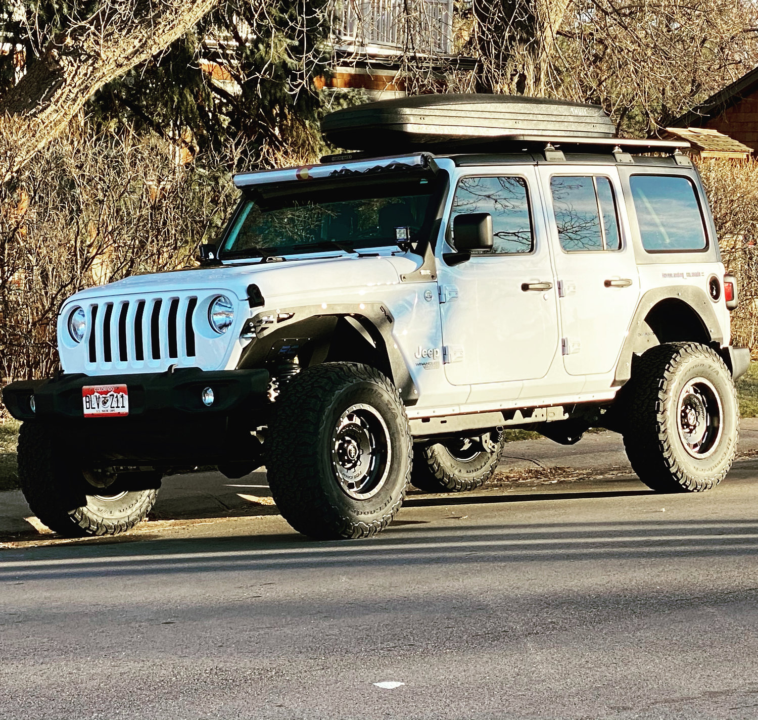 AEV 2.5in DualSport RT Suspension System for Right Hand Drive 18-22 ...