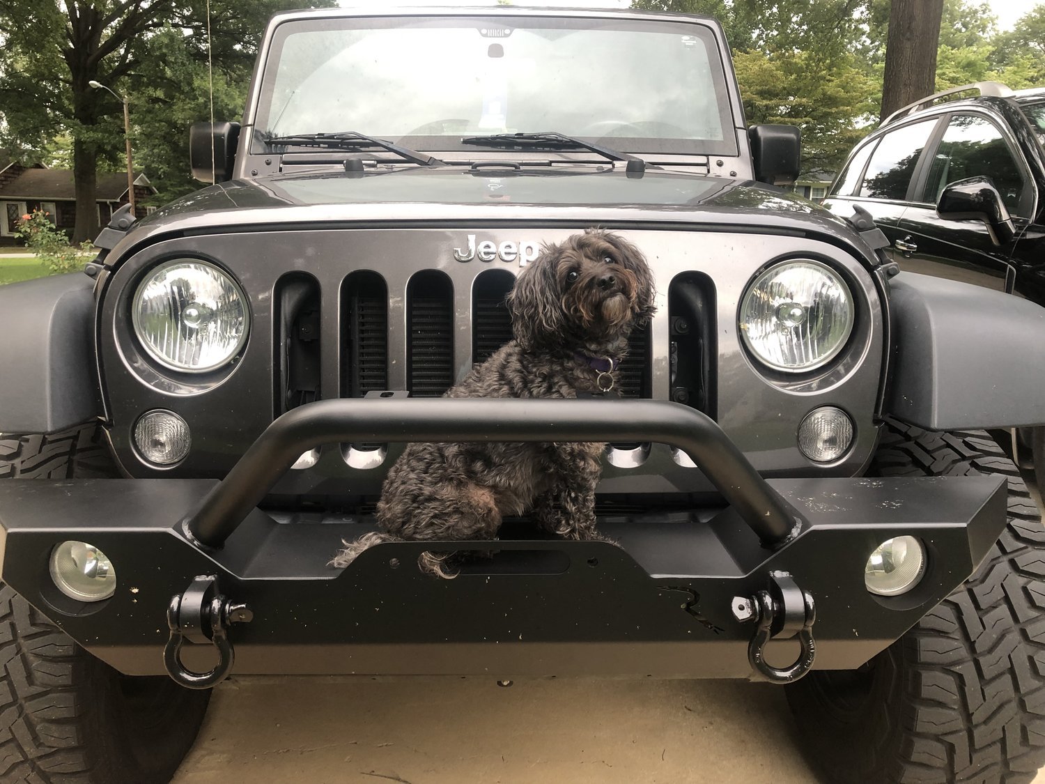 Rampage Products 99306 Rock Rage Front Bumper for 07-23 Jeep Wrangler ...