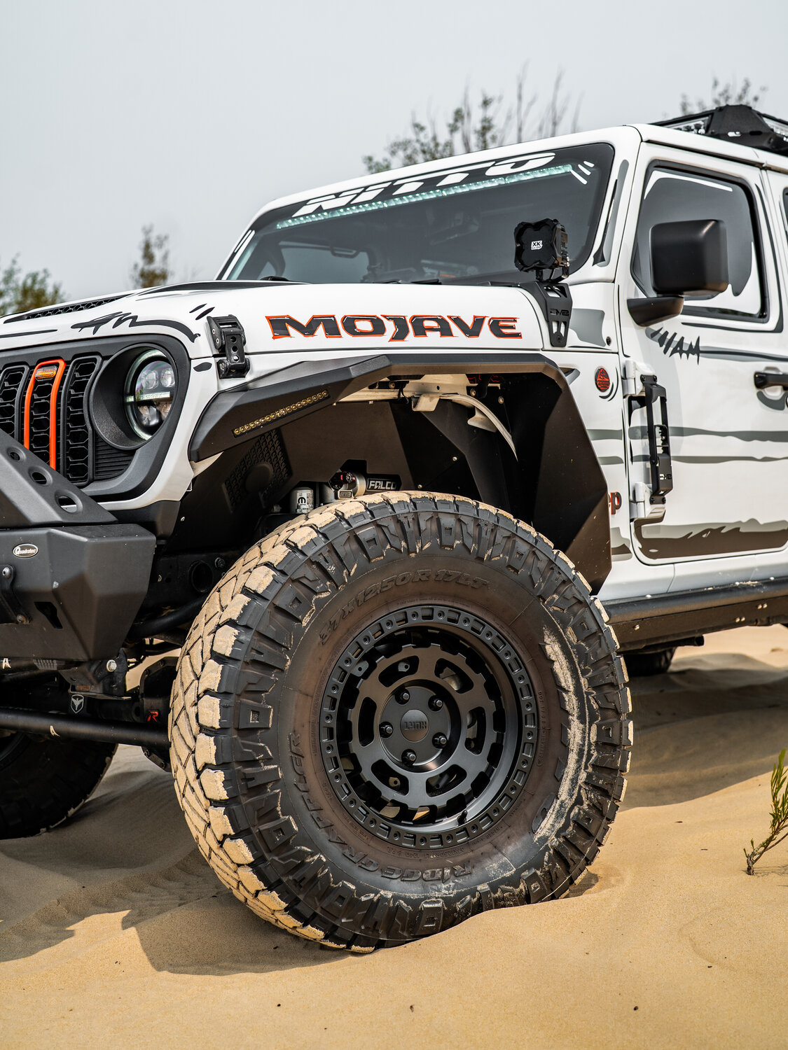 Customer Submitted Photos