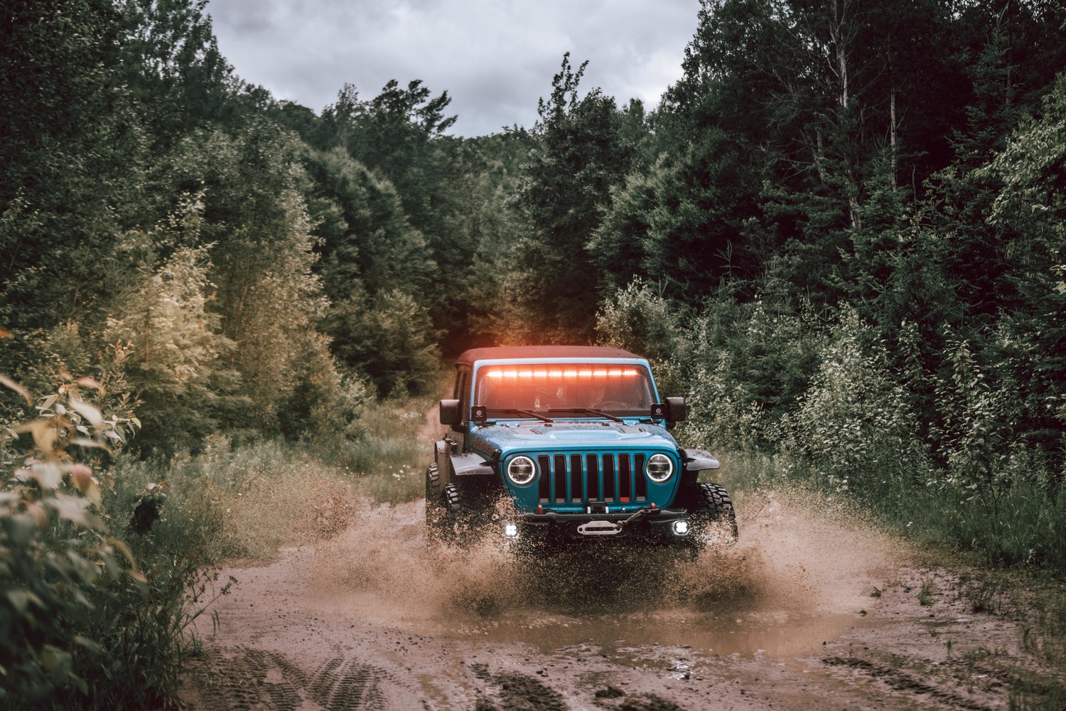 Quadratec LED Interior Mount 50” Stealth Light Bar for 18-23 Jeep ...