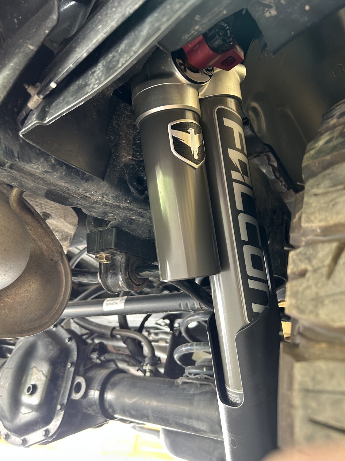 Customer Submitted Photos