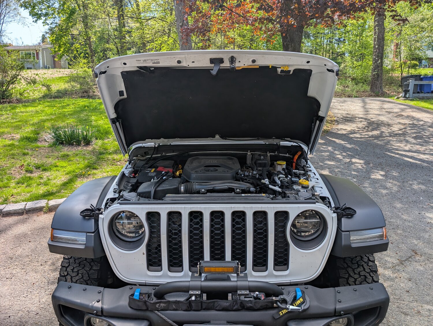 Customer Submitted Photos