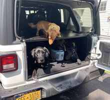 Squadbox Rear Cargo Storage System for 18-21 Jeep Wrangler JL Unlimited ...