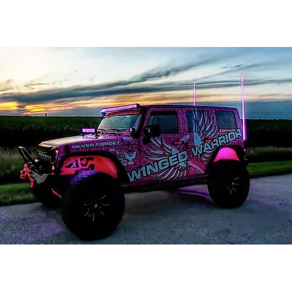 Pink jeep antenna store