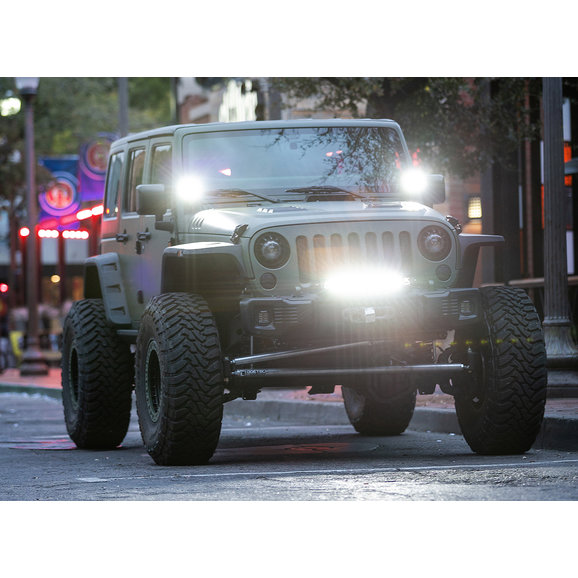 Rigid Industries Radiance Pod XL | Quadratec