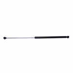 Crown Automotive 55076310AB Hardtop Liftgate Support Strut for 97-06 ...