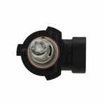 Hella H83165241 Halogen HB3 Single Filament Bulb | Quadratec