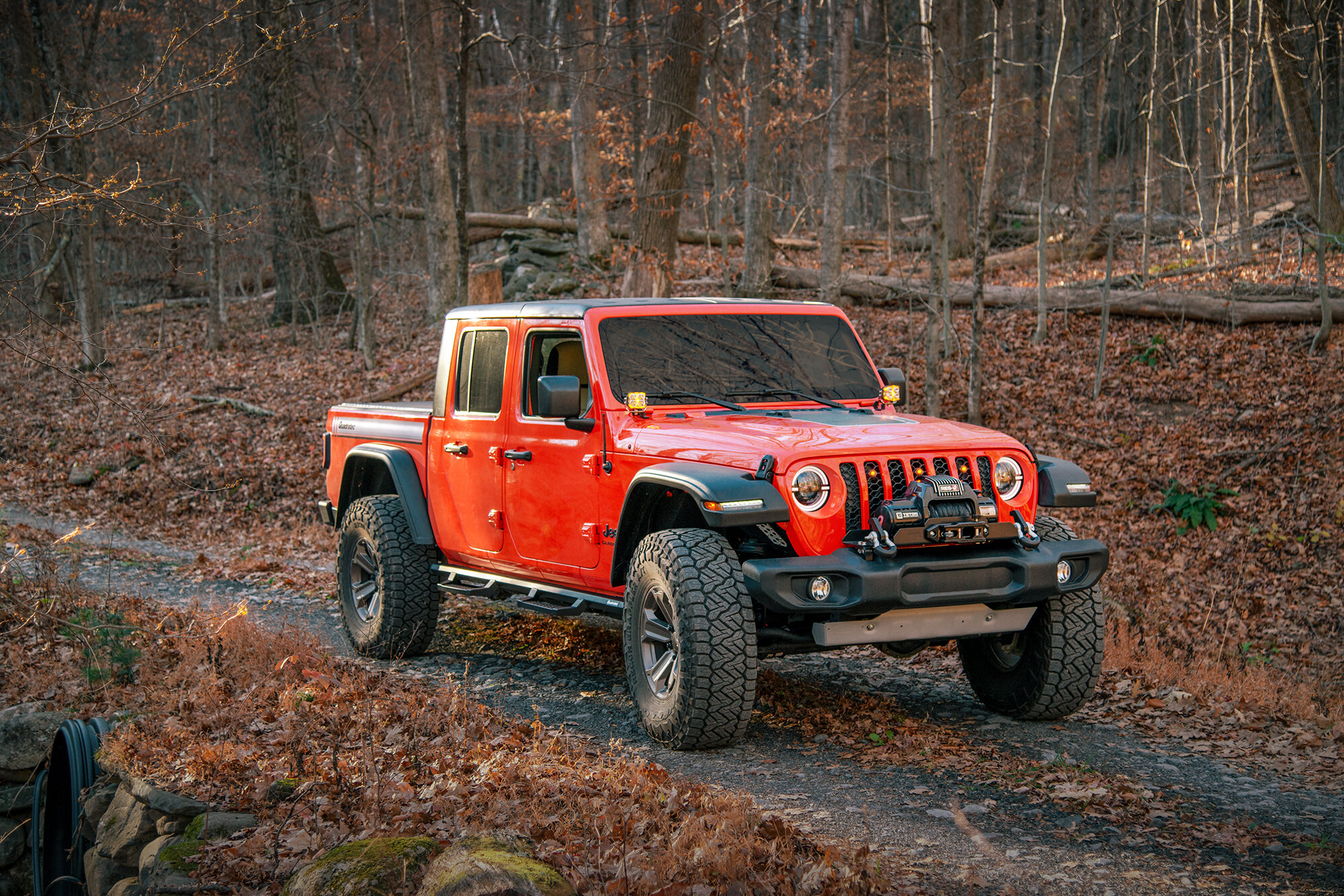 Carnivore J-Series Auxiliary Pod Light with Amber Backlight | Quadratec